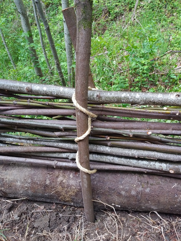 Pandemic Gardening Thread. 2020–Onward | Page 22 | Ars OpenForum